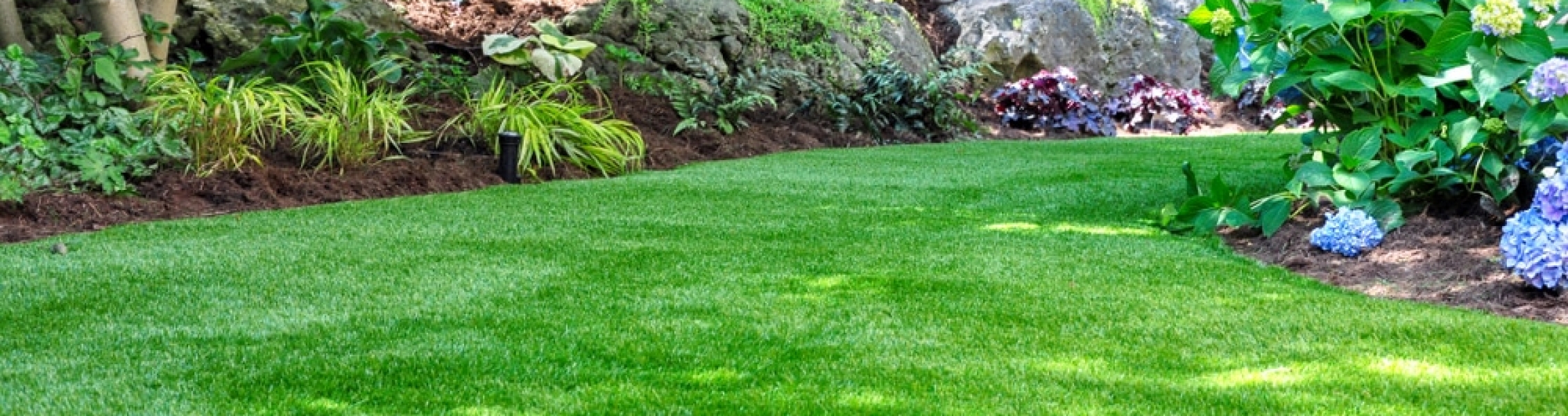 Top Landscaping Trends to Try in 2020 - Calgary Landscaping Sungreen